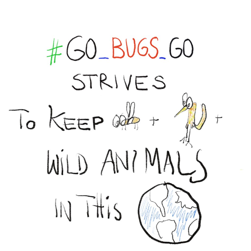 What is GOBUGSGO - GO BUGS GO